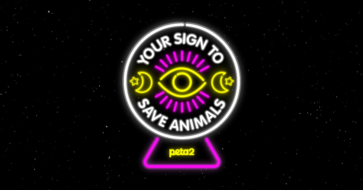 your sign to save animals | peta2